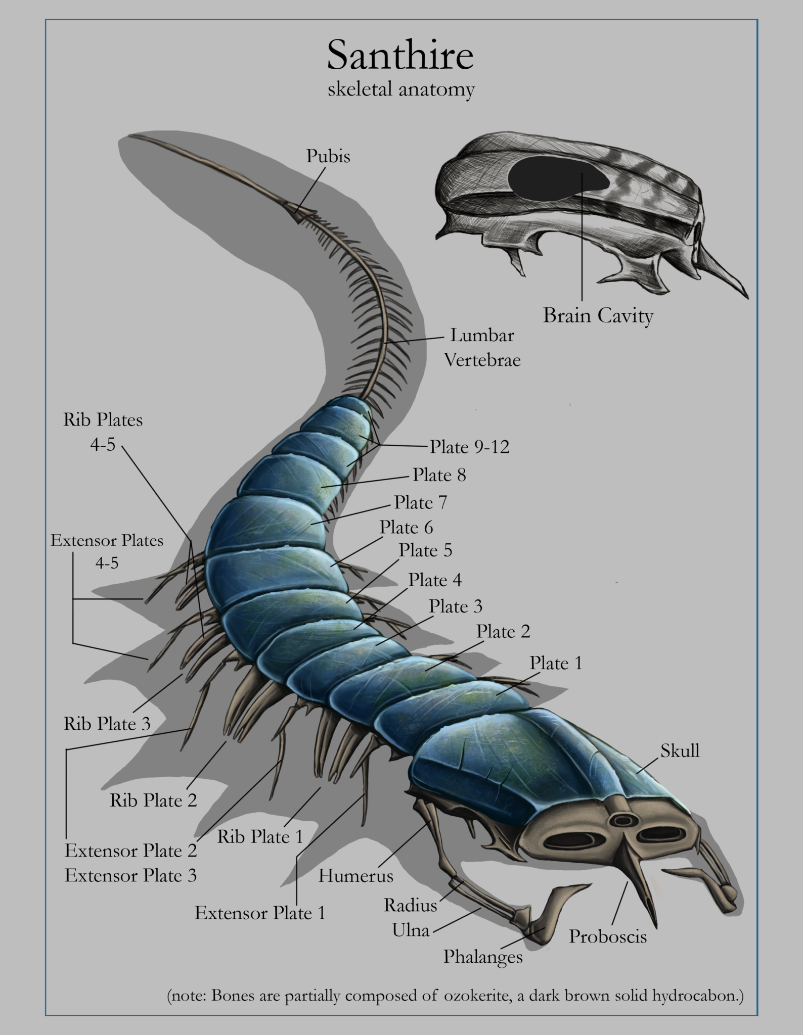 The Teeming Universe: Speculative biology by Christian Cline – The ...