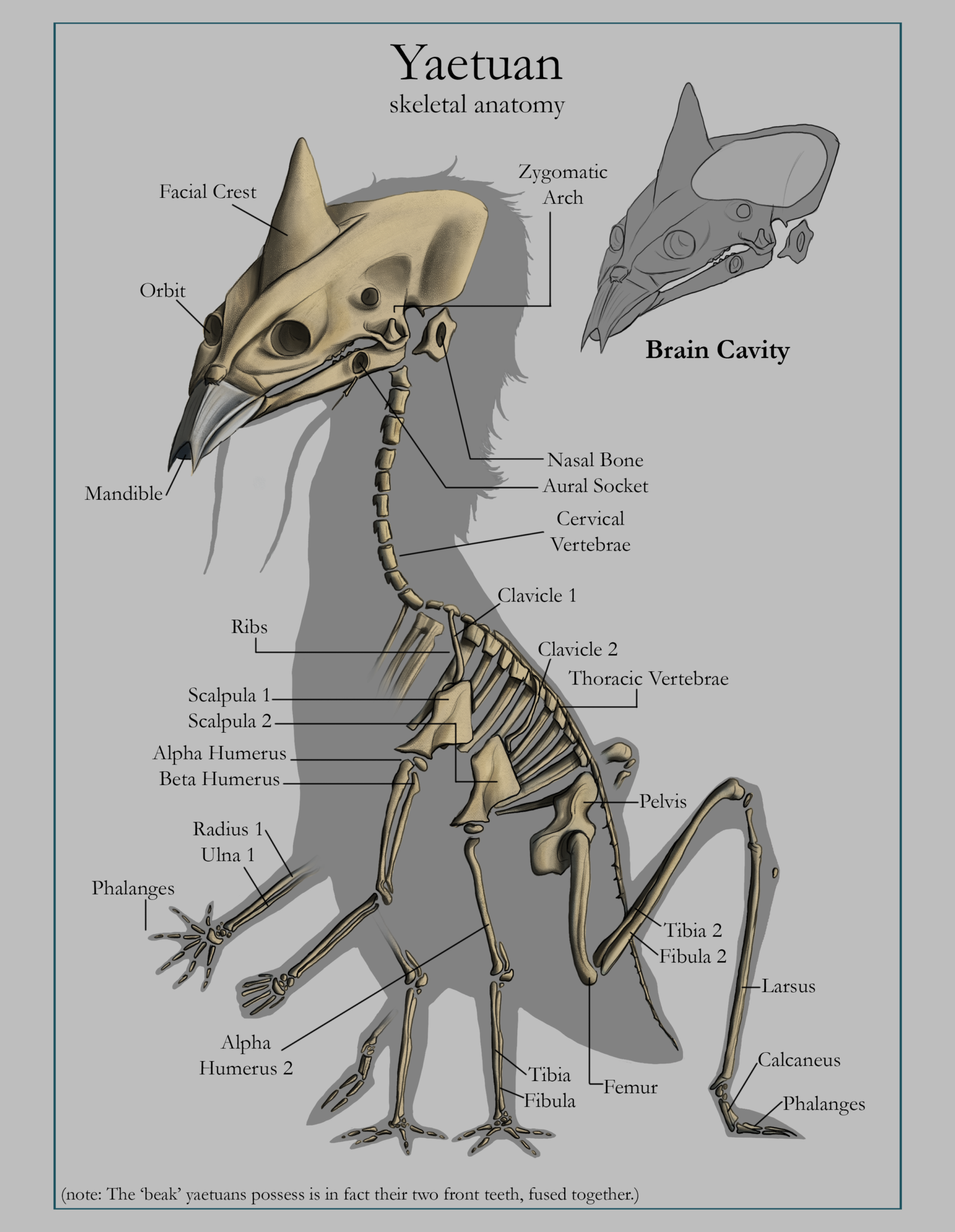 The Teeming Universe: Speculative biology by Christian Cline – The ...