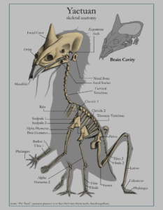 The Teeming Universe: Speculative biology by Christian Cline – The ...